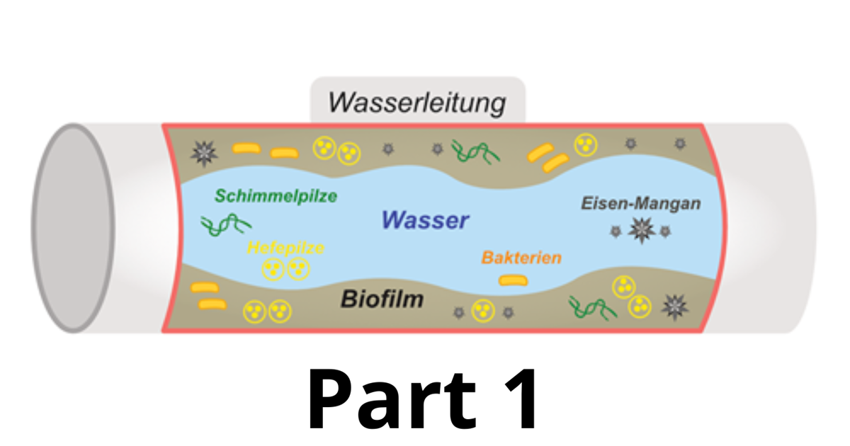 Removal of biofilm in water systems - Watter BV Removal of biofilm in water systems - Watter BV